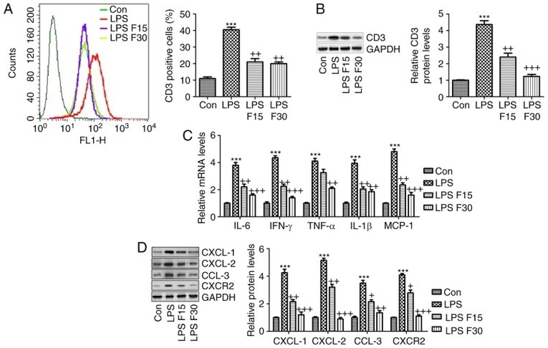 CXCL2 Antibody (701126)