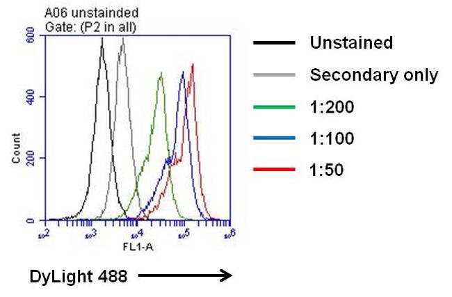 IL-6 Antibody (P620)