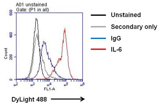 IL-6 Antibody (P620)