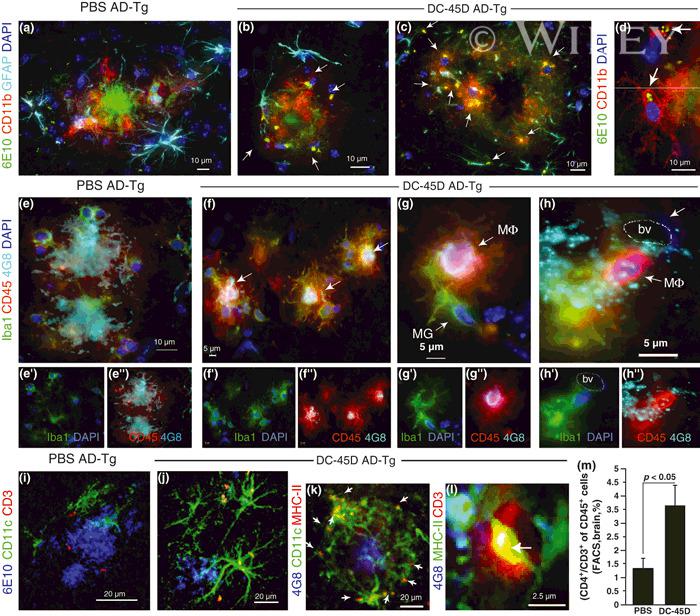 CD11c Antibody, eFluor™ 450 (48-0114-82)