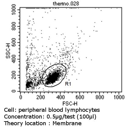 CD2 Antibody (MA0200)