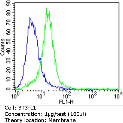 CD36 Antibody (MA5-14112)