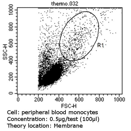 CD36 Antibody (MA5-14112)
