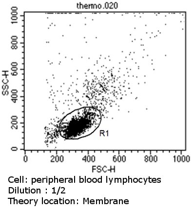 CD23 Antibody (MA5-14572)