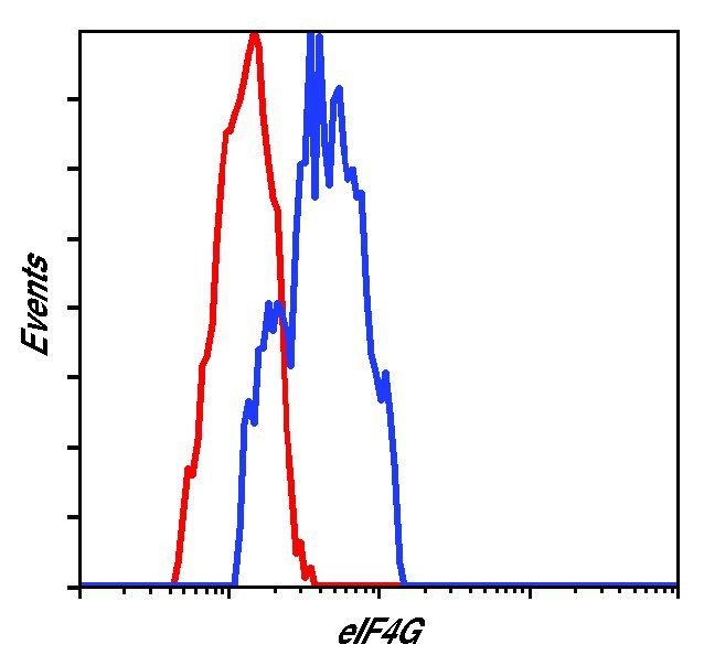 eIF4G Antibody (MA5-14971)