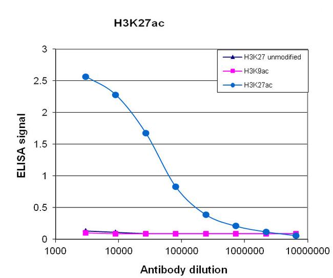 H3K27ac Antibody, ChIP-Verified (MA5-23516)