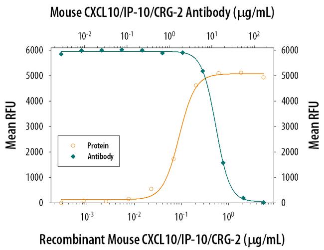 CXCL10 Antibody (MA5-23774)