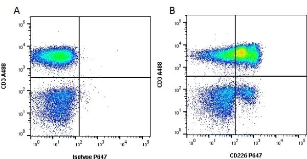 CD226 (DNAM-1) Antibody (MA5-28149)