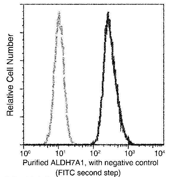 ALDH7A1 Antibody (MA5-29030)