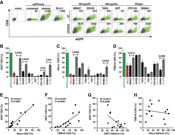 CD4 Antibody, APC (MHCD0405)