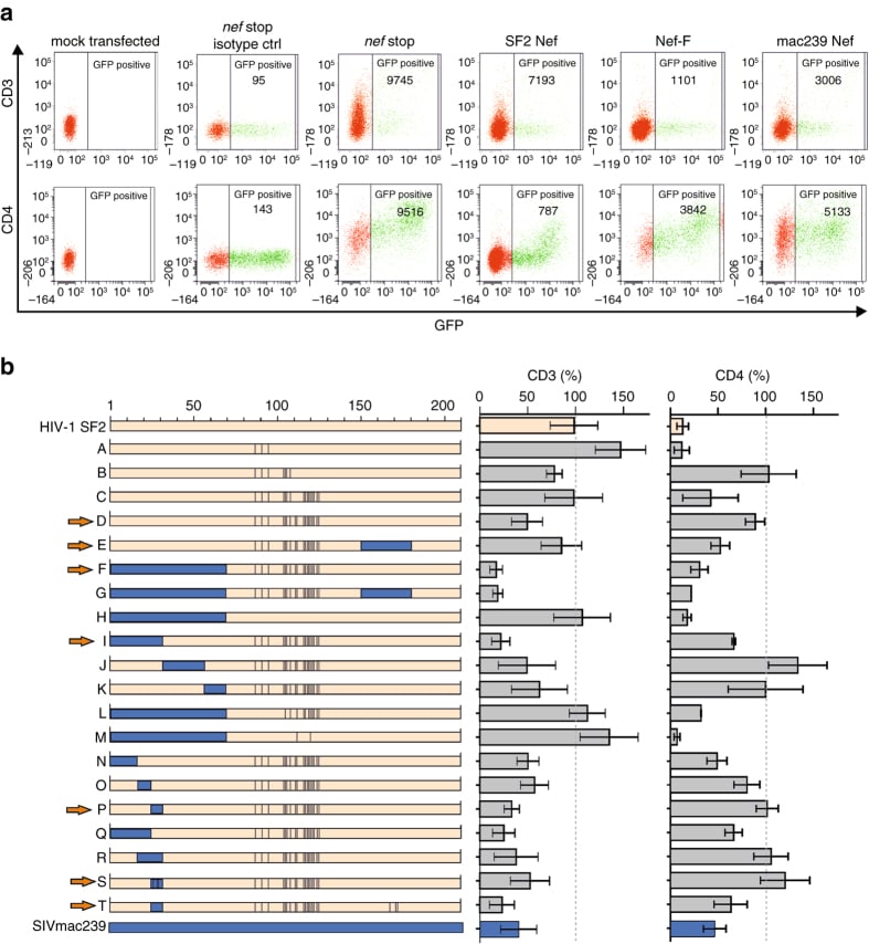 CD4 Antibody, APC (MHCD0405)