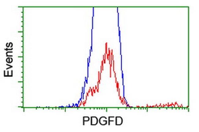 PDGFD Antibody (TA503700)