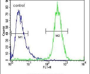 TYROBP Antibody (PA5-26861)