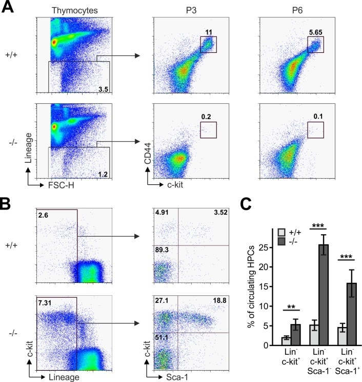 CD19 Antibody, FITC (11-0193-82)