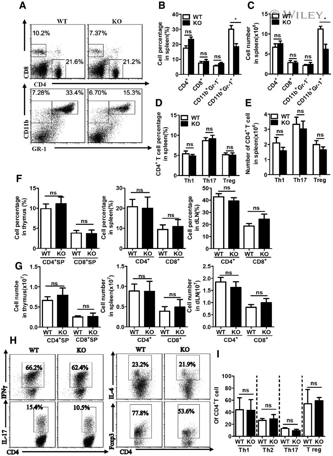 IFN gamma Antibody, Biotin (13-7319-81)