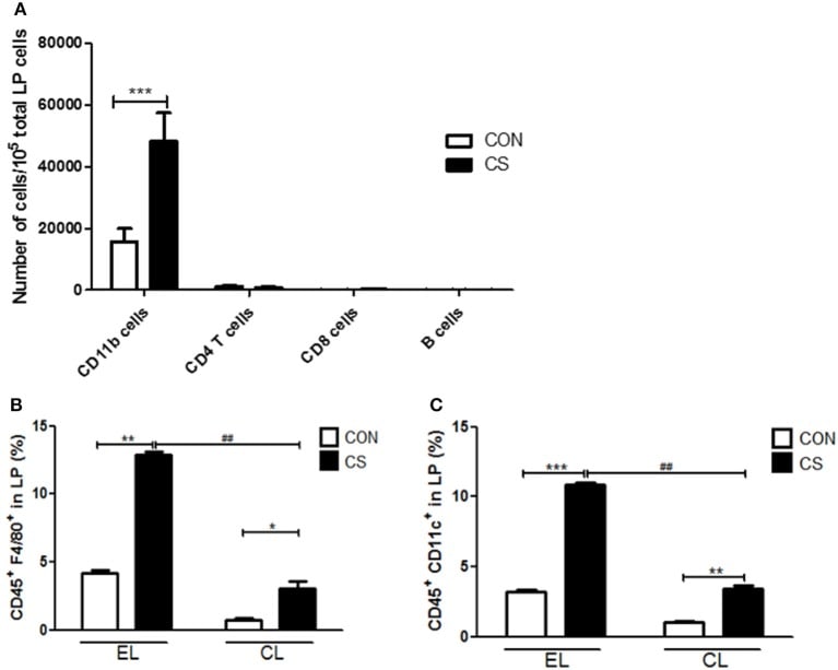 CD8a Antibody (14-0081-82)