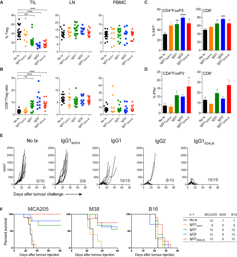 Ki-67 Antibody, FITC (11-5698-82)