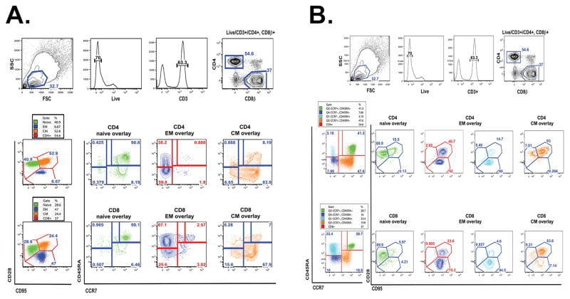 CD28 Antibody (14-0289-82)