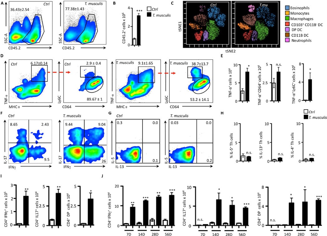 CD45.2 Antibody, PerCP-Cyanine5.5 (45-0454-82)