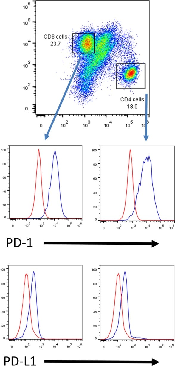 CD8a Antibody, Functional Grade (16-0086-85)