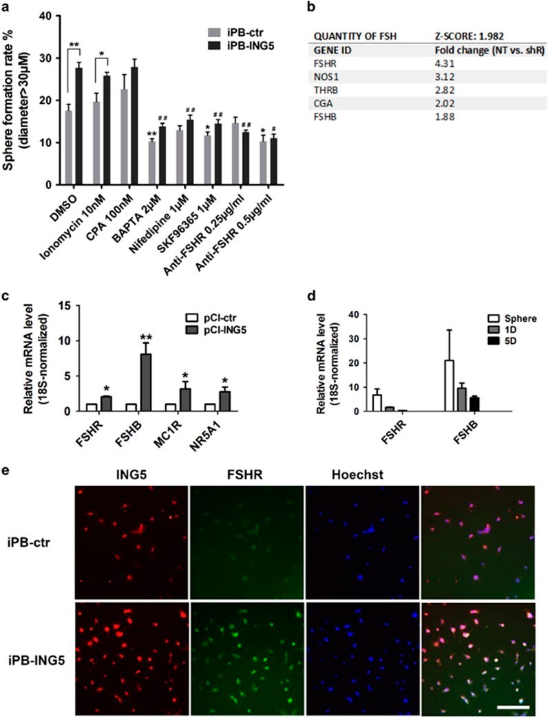CD133 (Prominin-1) Antibody, PE (12-1338-42)