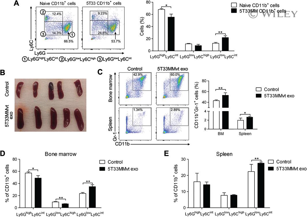 Ly-6G/Ly-6C Antibody, PE (12-5931-82)