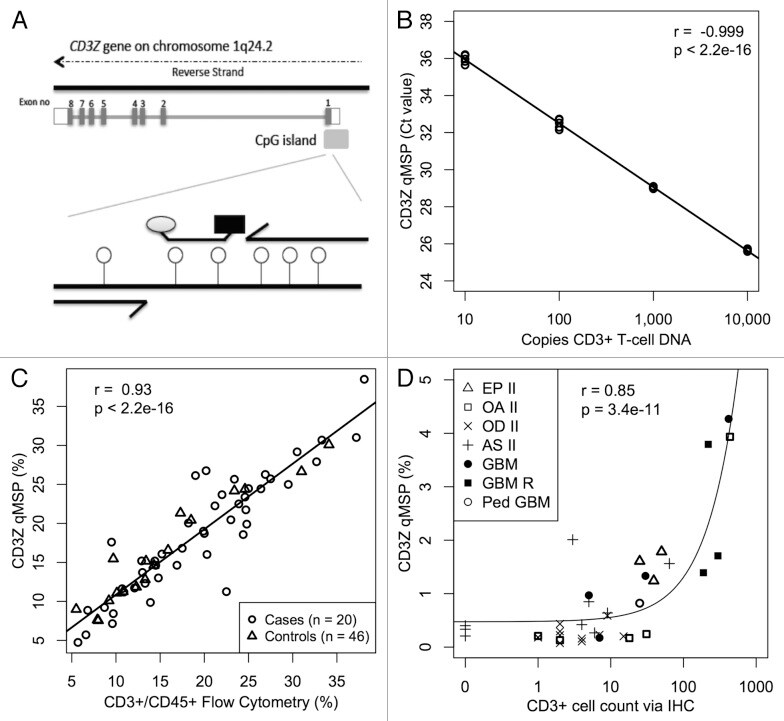 CD3 Antibody, FITC (11-0038-42)