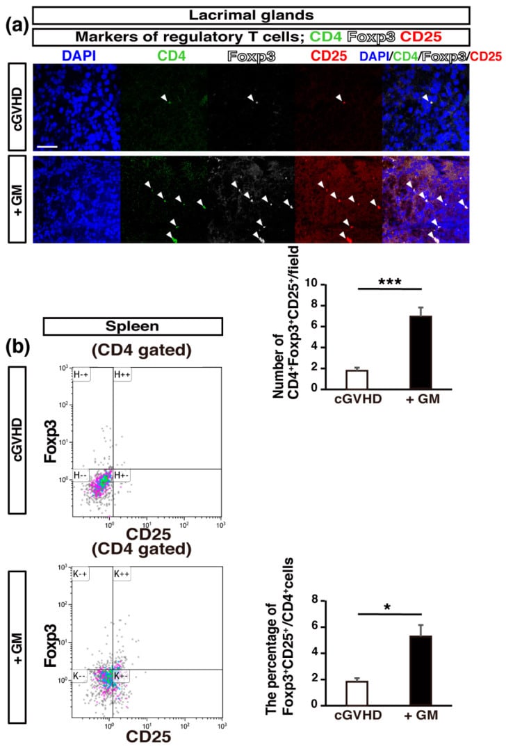 CD25 Antibody, Alexa Fluor™ 488 (53-0251-82)