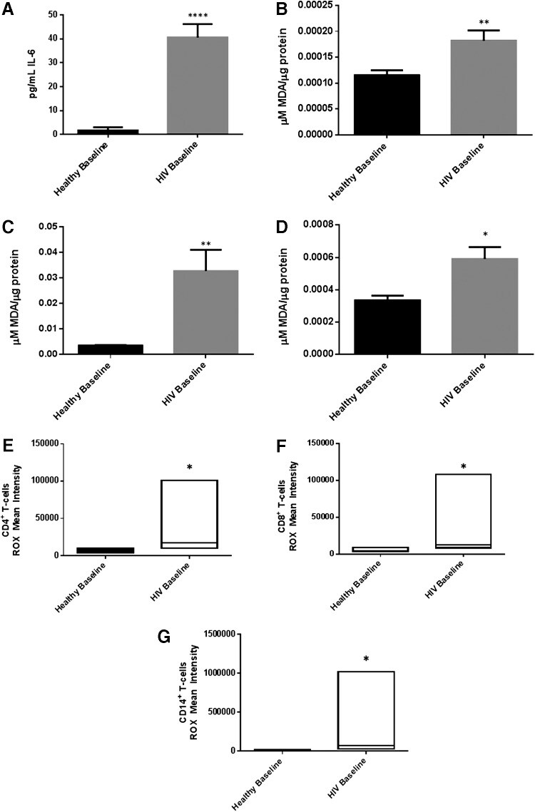 CD8a Antibody, PE (12-0088-42)