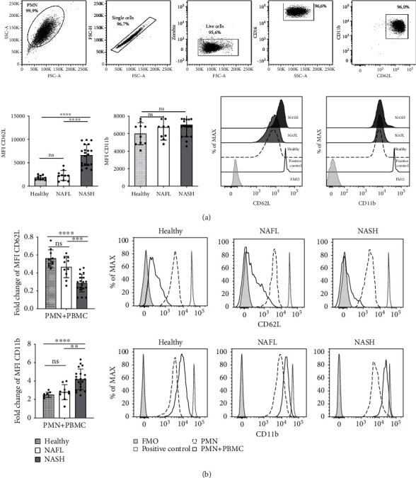 CD16 Antibody (14-0168-82)
