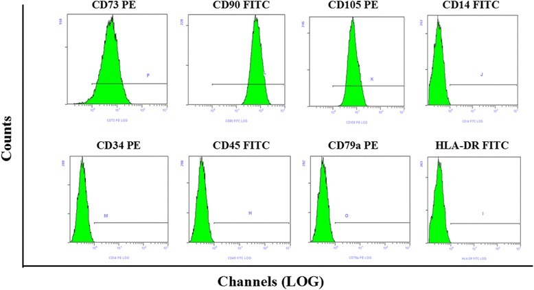 CD73 Antibody, FITC (11-0739-42)