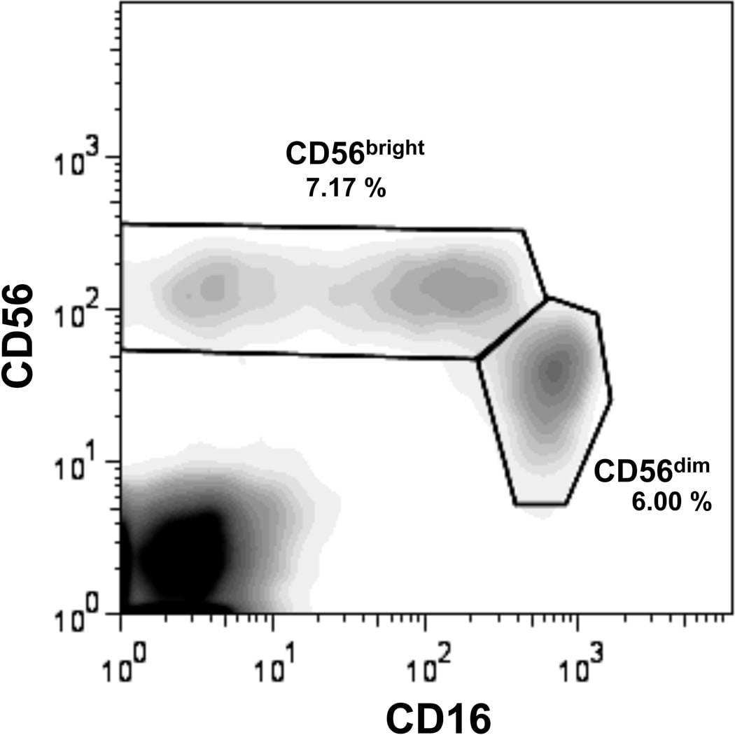 CD16 Antibody, FITC (11-0168-42)