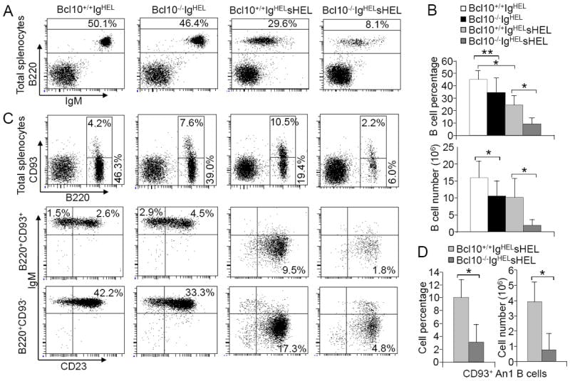 CD93 (AA4.1) Antibody, PE (12-5892-82)