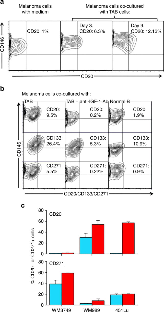 CD20 Antibody (14-0209-82)