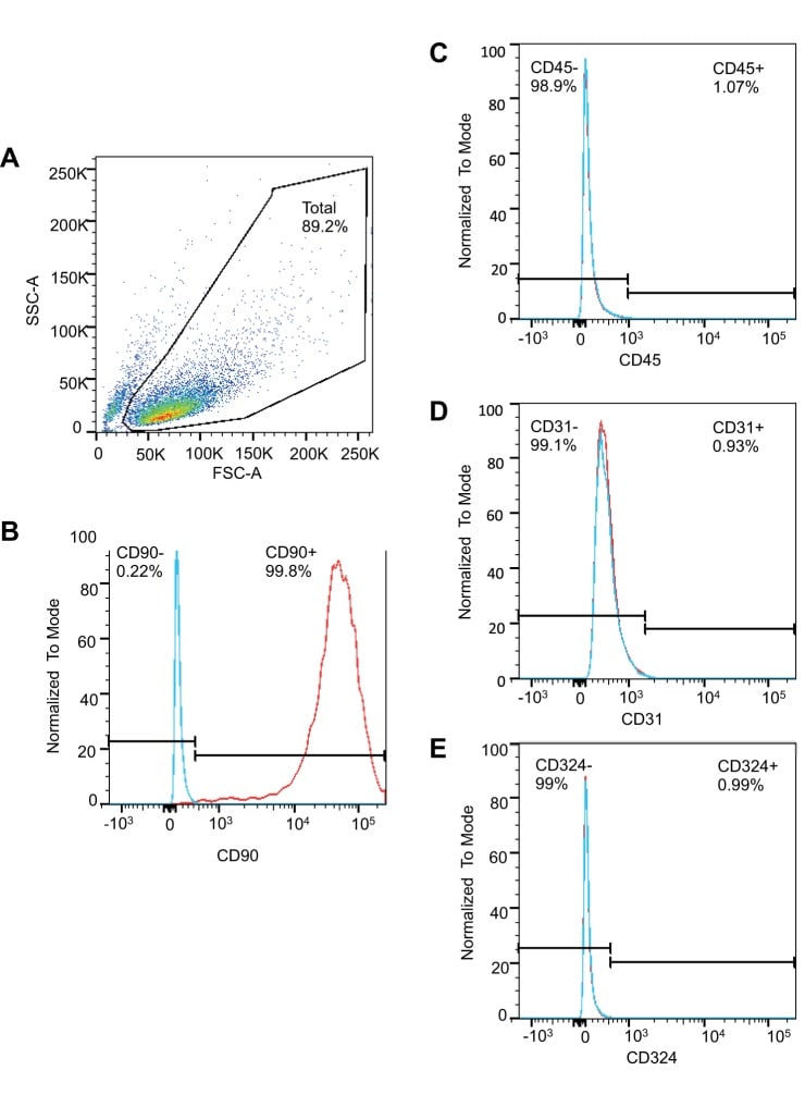 CD45 Antibody, PerCP-Cyanine5.5 (45-0459-42)
