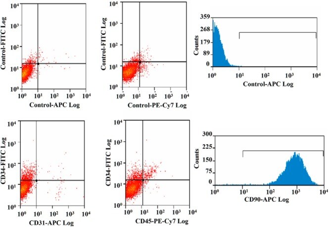 CD34 Antibody, FITC (11-0349-42)