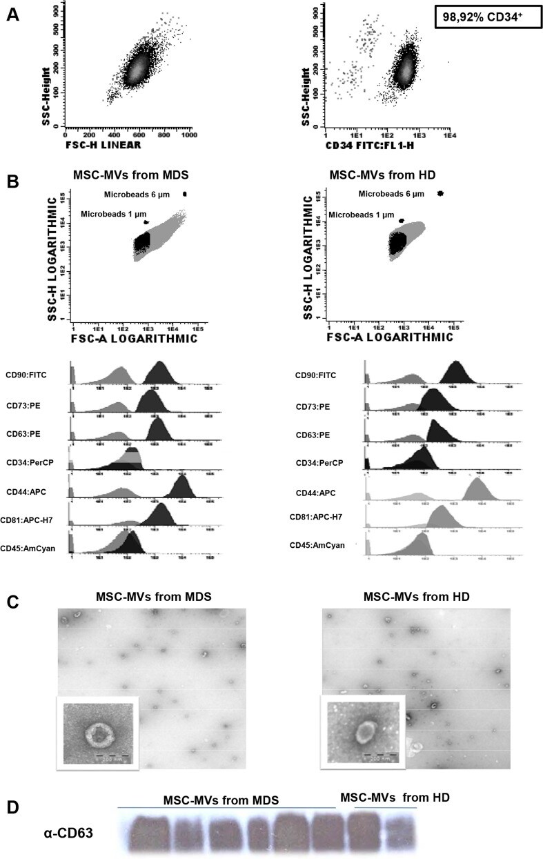CD34 Antibody, FITC (11-0349-42)