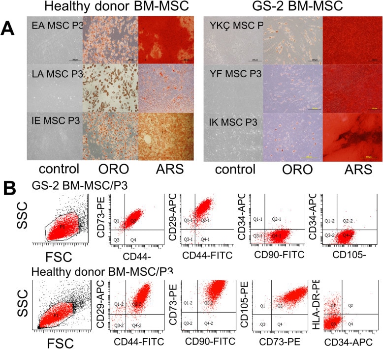 CD34 Antibody, FITC (11-0349-42)