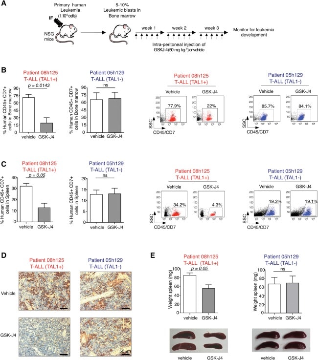 CD45 Antibody, eFluor™ 450 (48-0459-42)