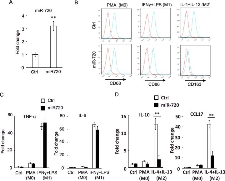 CD163 Antibody, PE (12-1639-42)