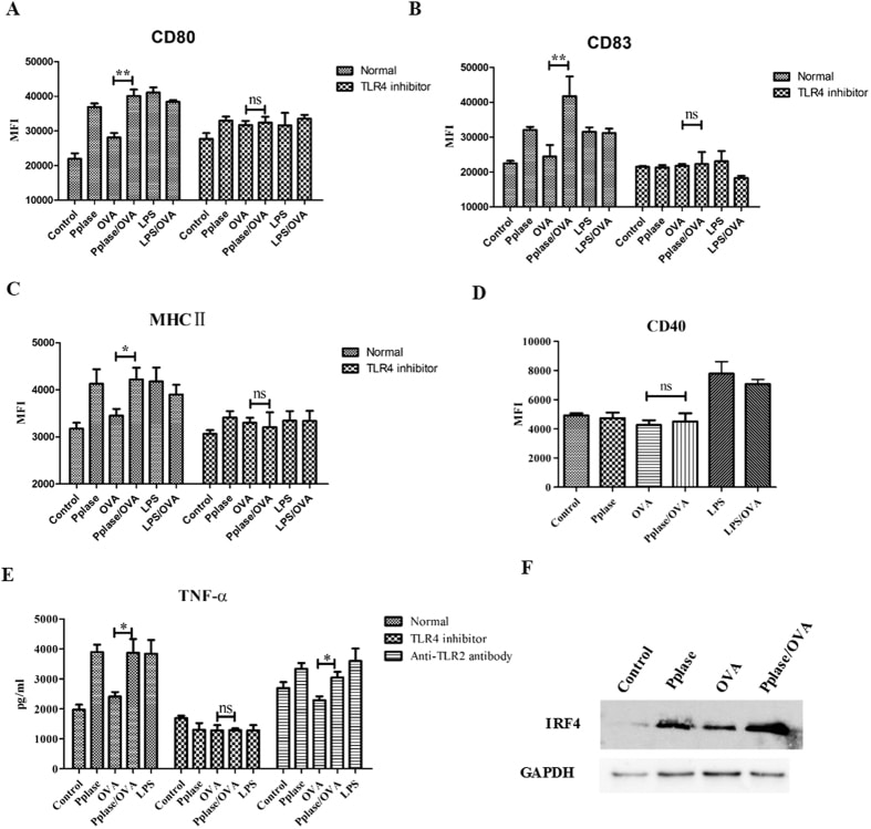 CD80 (B7-1) Antibody, FITC (11-0801-82)