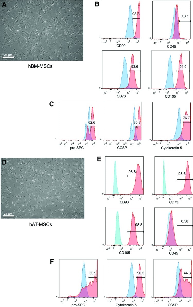 CD45 Antibody, FITC (11-9459-42)