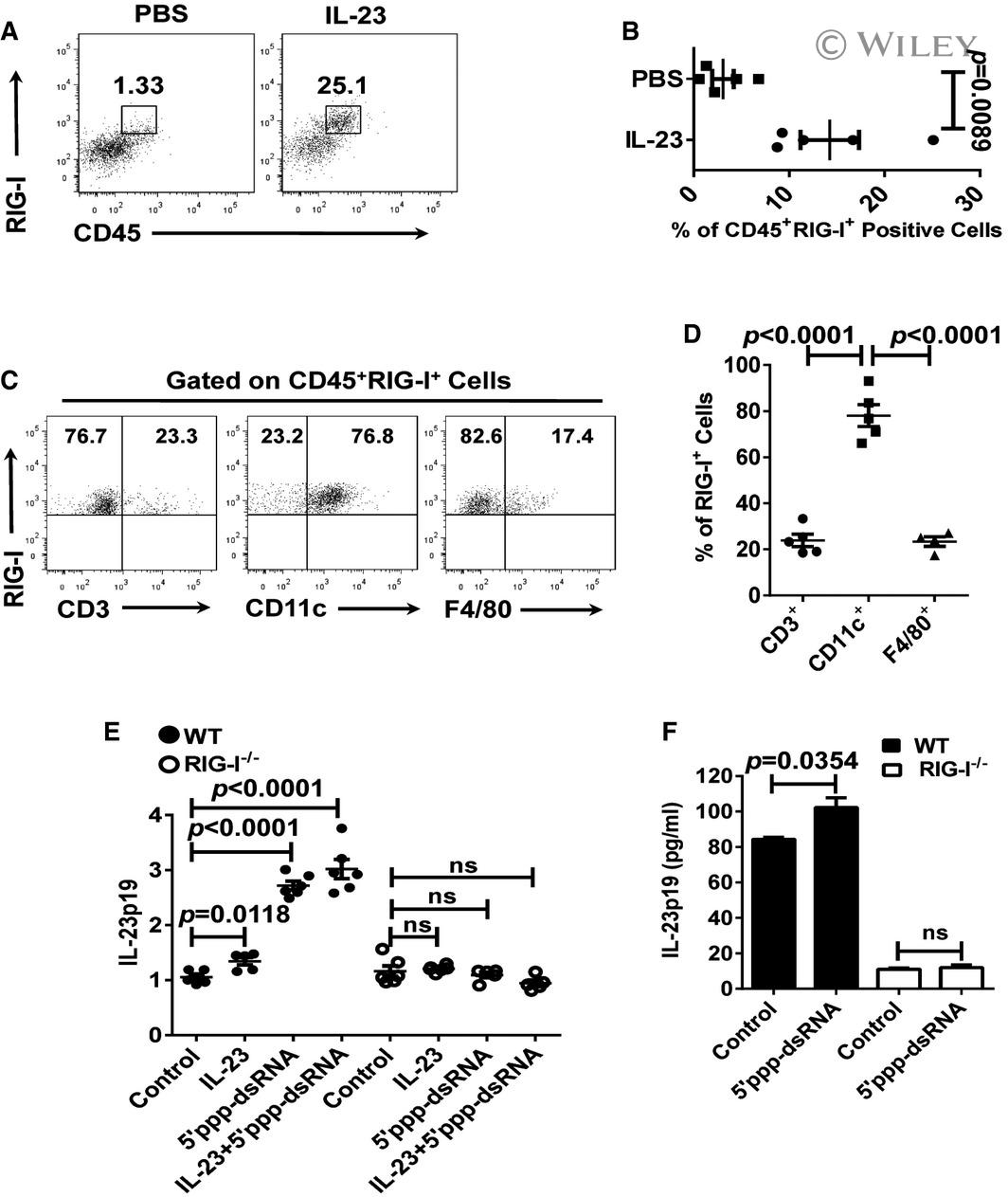 CD11c Antibody (14-0114-82)