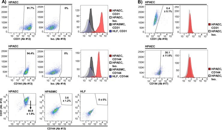 CD144 (VE-cadherin) Antibody (14-1449-82)