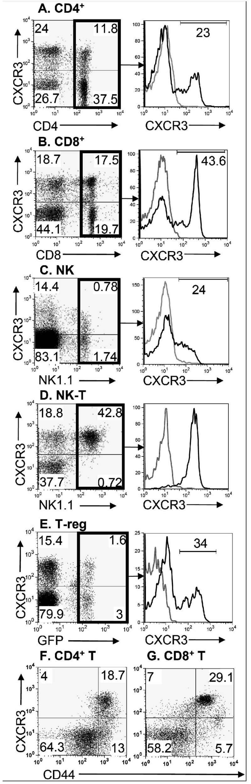 CD183 (CXCR3) Antibody, Functional Grade (16-1831-81)