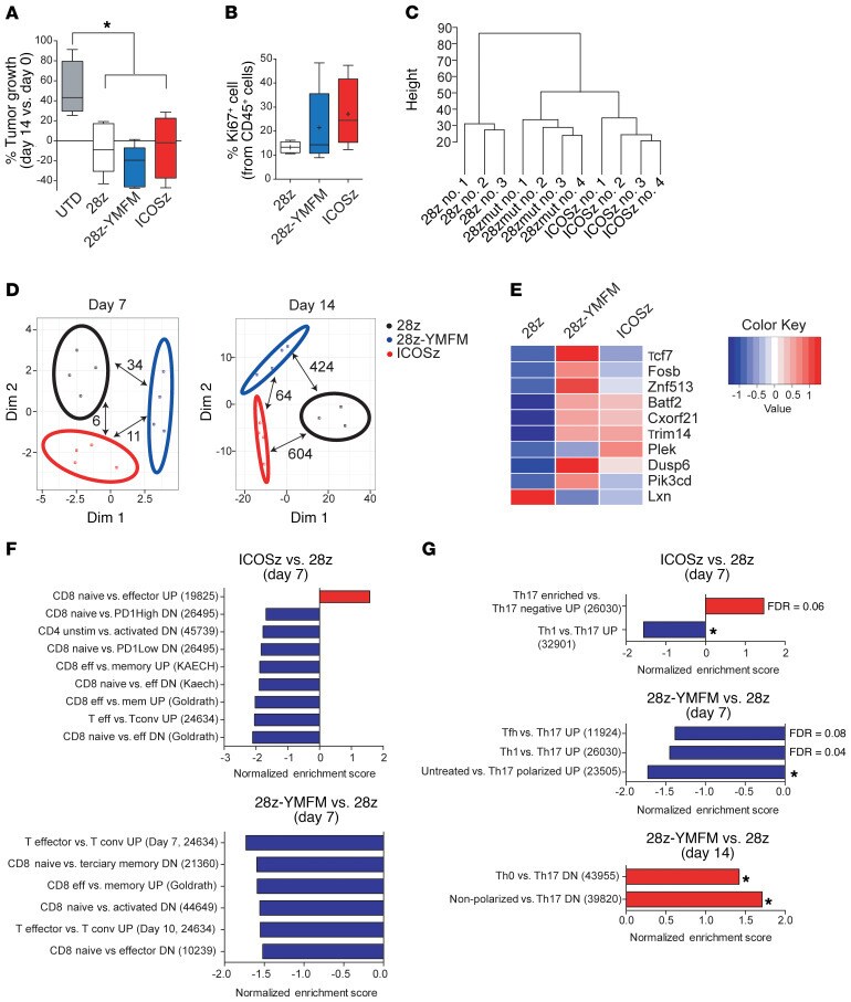 CD45 Antibody, FITC (11-9459-42)