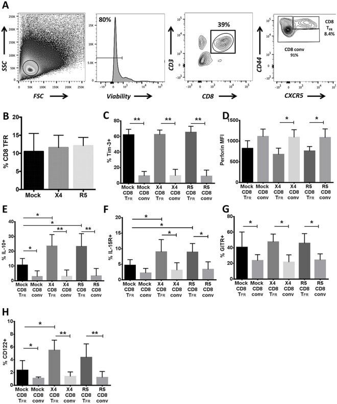 CD8a Antibody, FITC (11-0088-42)