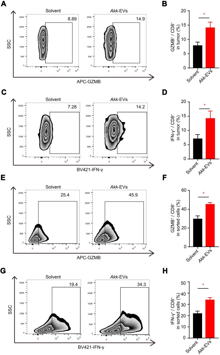 Granzyme B Antibody, PE (12-8898-82)