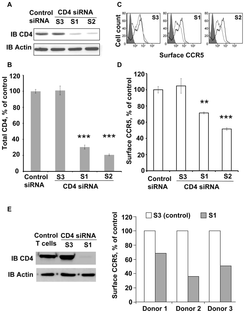 CD4 Antibody, FITC (11-0048-42)