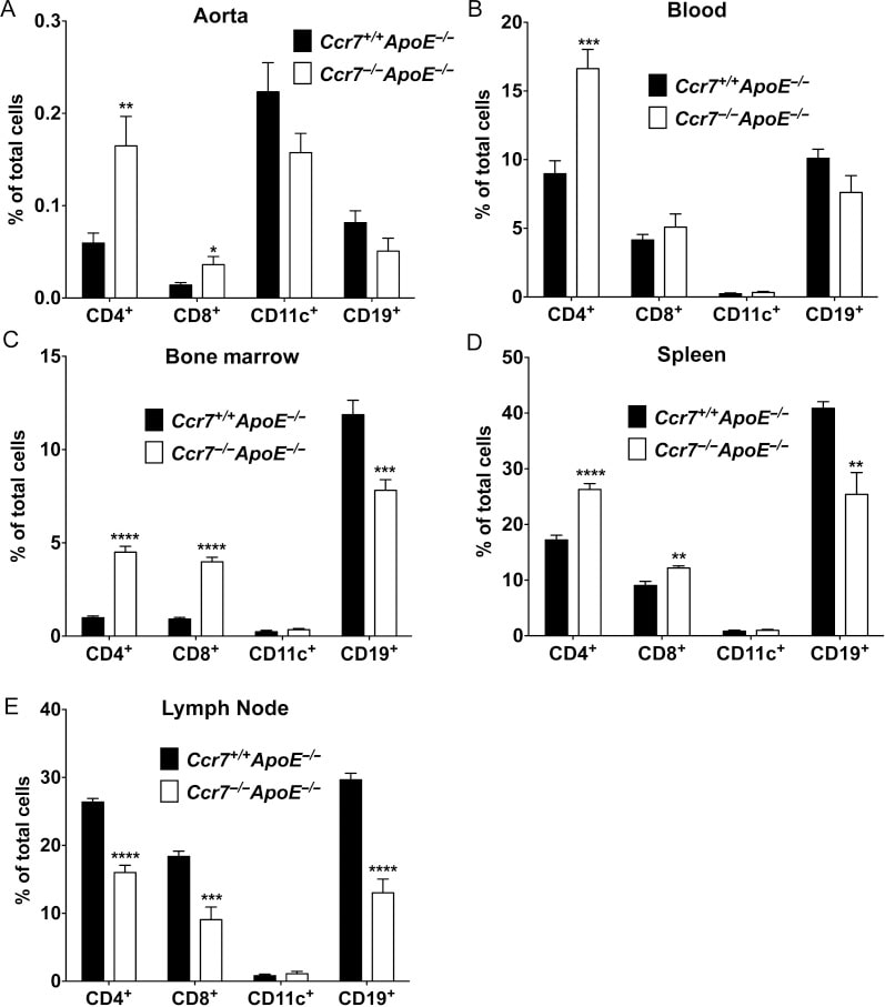 CD8a Antibody (14-0081-82)